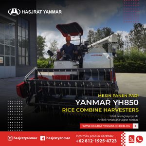 Mesin Panen Padi – Yanmar YH850 Rice Combine Harvesters - Hasjrat Yanmar