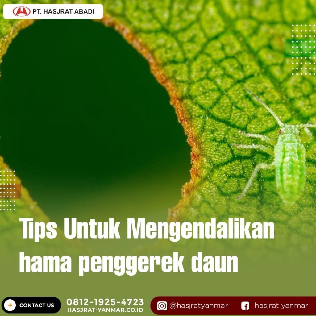Tips Untuk Mengendalikan Hama Penggerek Daun - Hasjrat Yanmar
