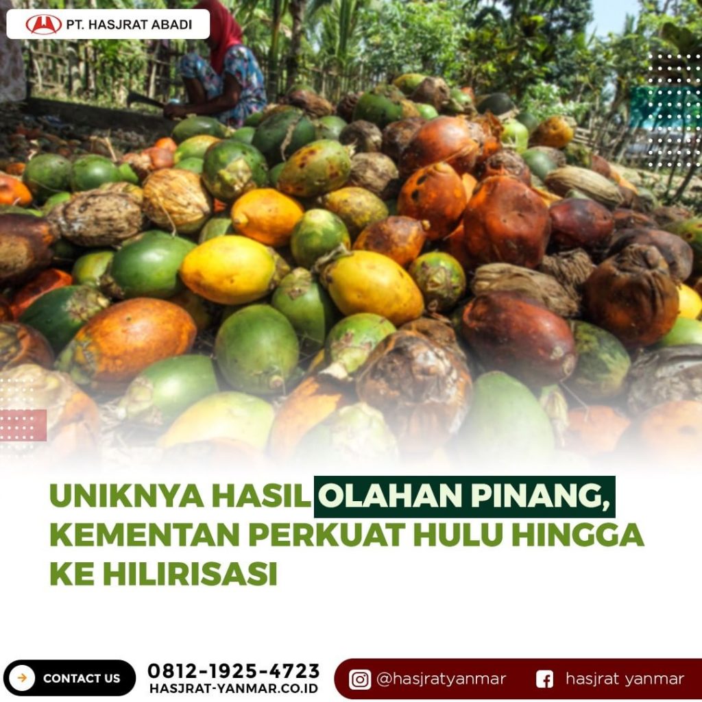 Mengetahui Uniknya Hasil Olahan Tanaman Pinang - Hasjrat Yanmar