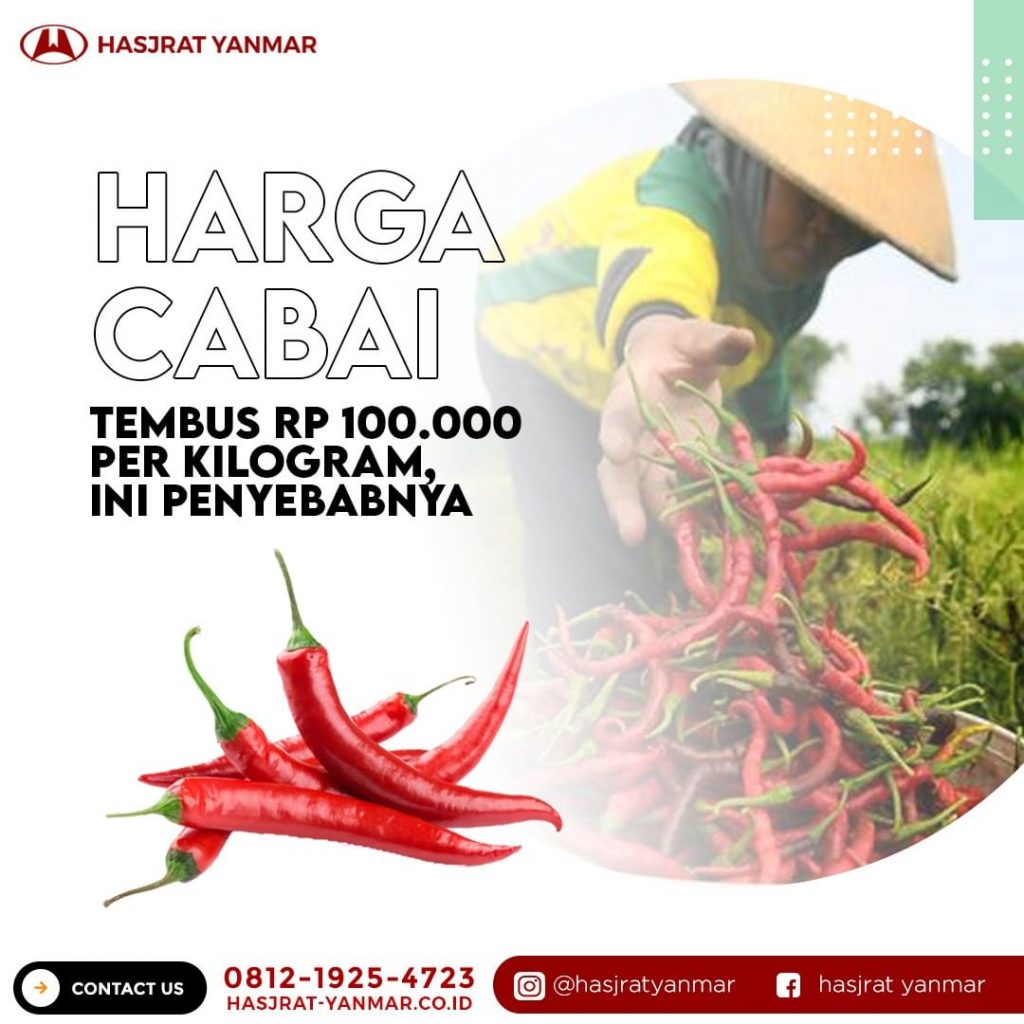 Harga Cabai Melambung Tinggi, Ini Penyebabnya - Hasjrat Yanmar