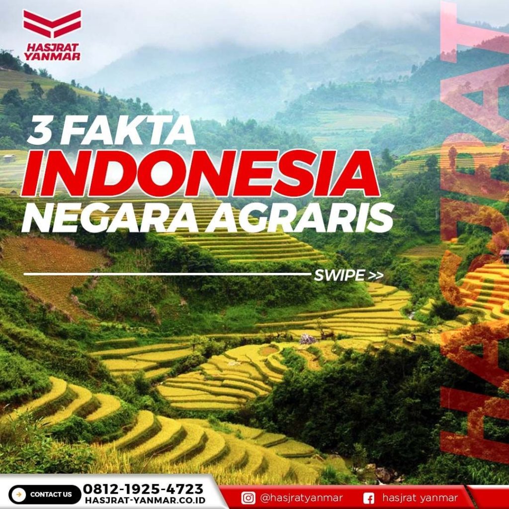 Tiga Fakta Menarik Indonesia Sebagai Negara Agraris
